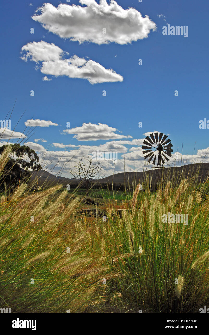Karoo farm scene hi-res stock photography and images - Alamy