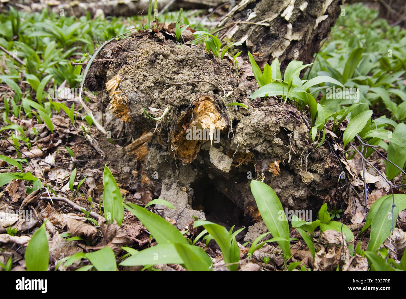 Overbalance hi-res stock photography and images - Alamy