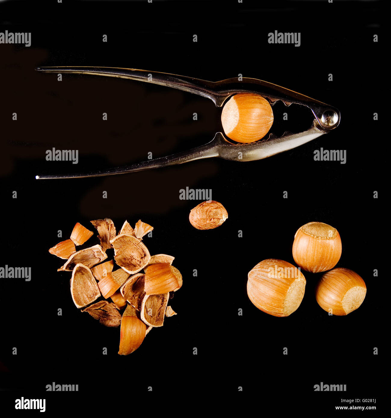 hazel nuts with nutcracker Stock Photo - Alamy