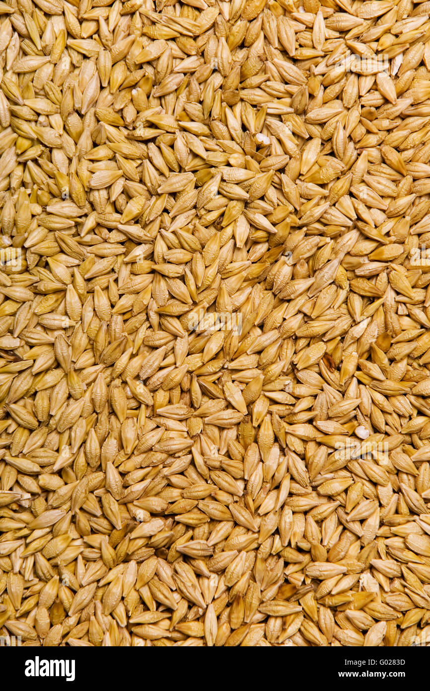 Agricultural foods hi-res stock photography and images - Alamy