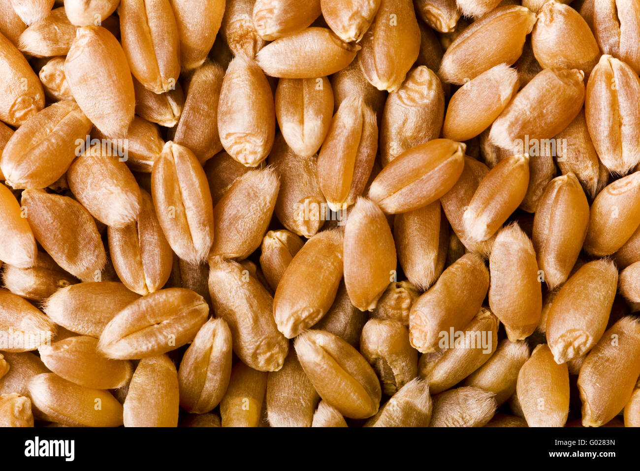 Grain structure hi-res stock photography and images - Alamy