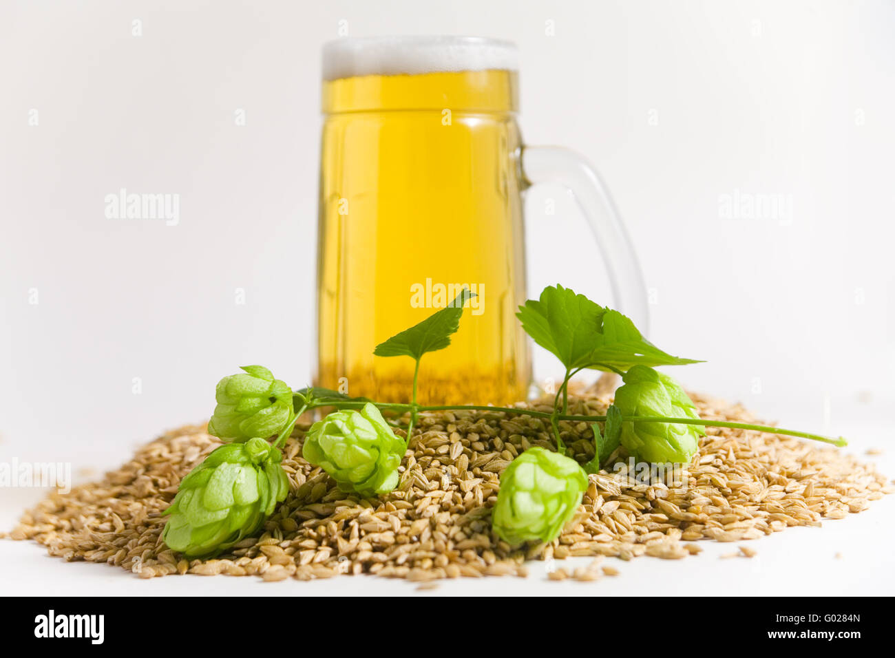 Hop corn hi-res stock photography and images - Alamy