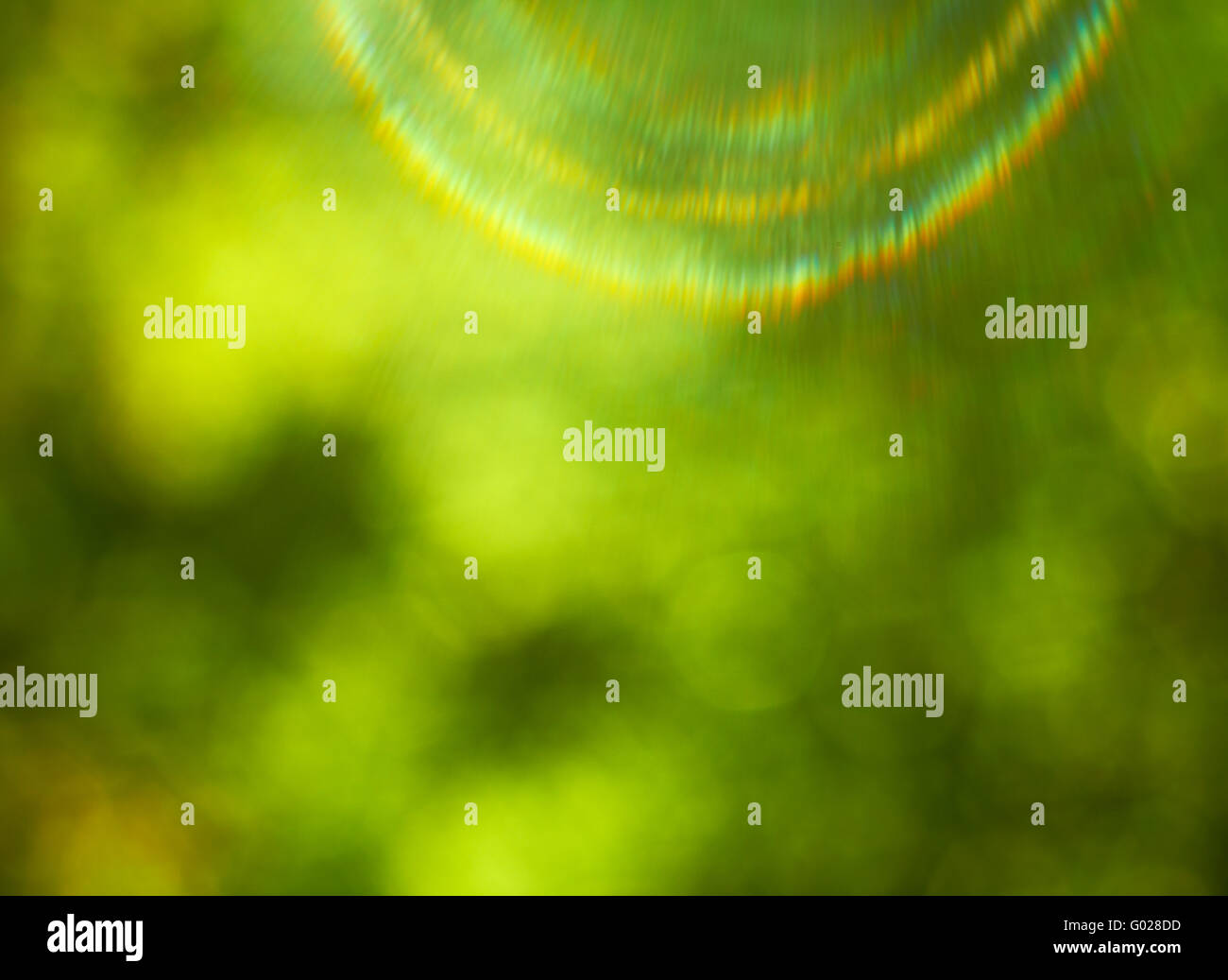 Green natural background of out of focus forest or bokeh Stock Photo ...