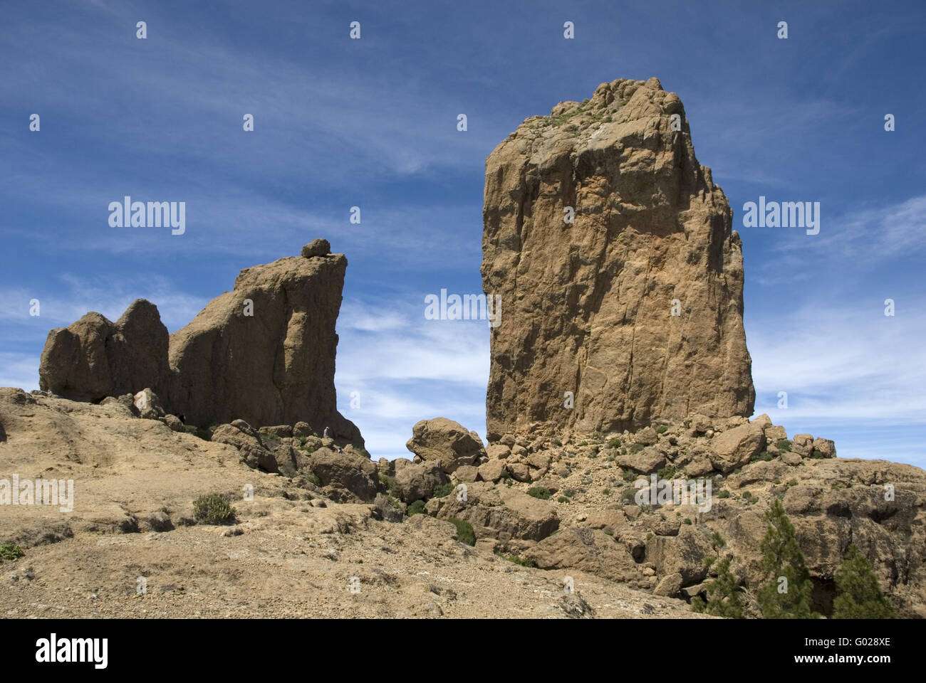 Roche hi-res stock photography and images - Alamy