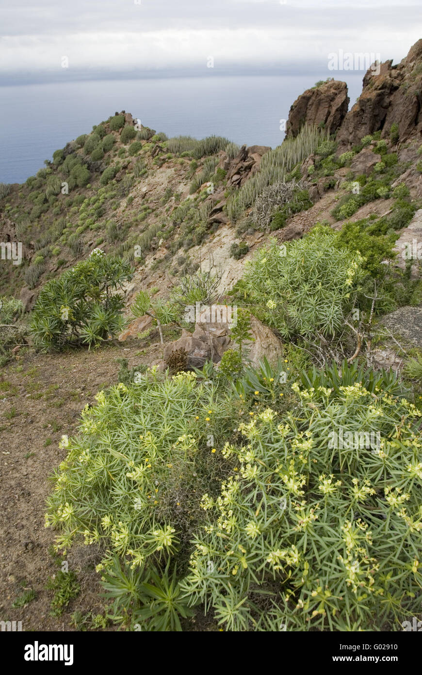 Punta de la aldea hi-res stock photography and images - Alamy