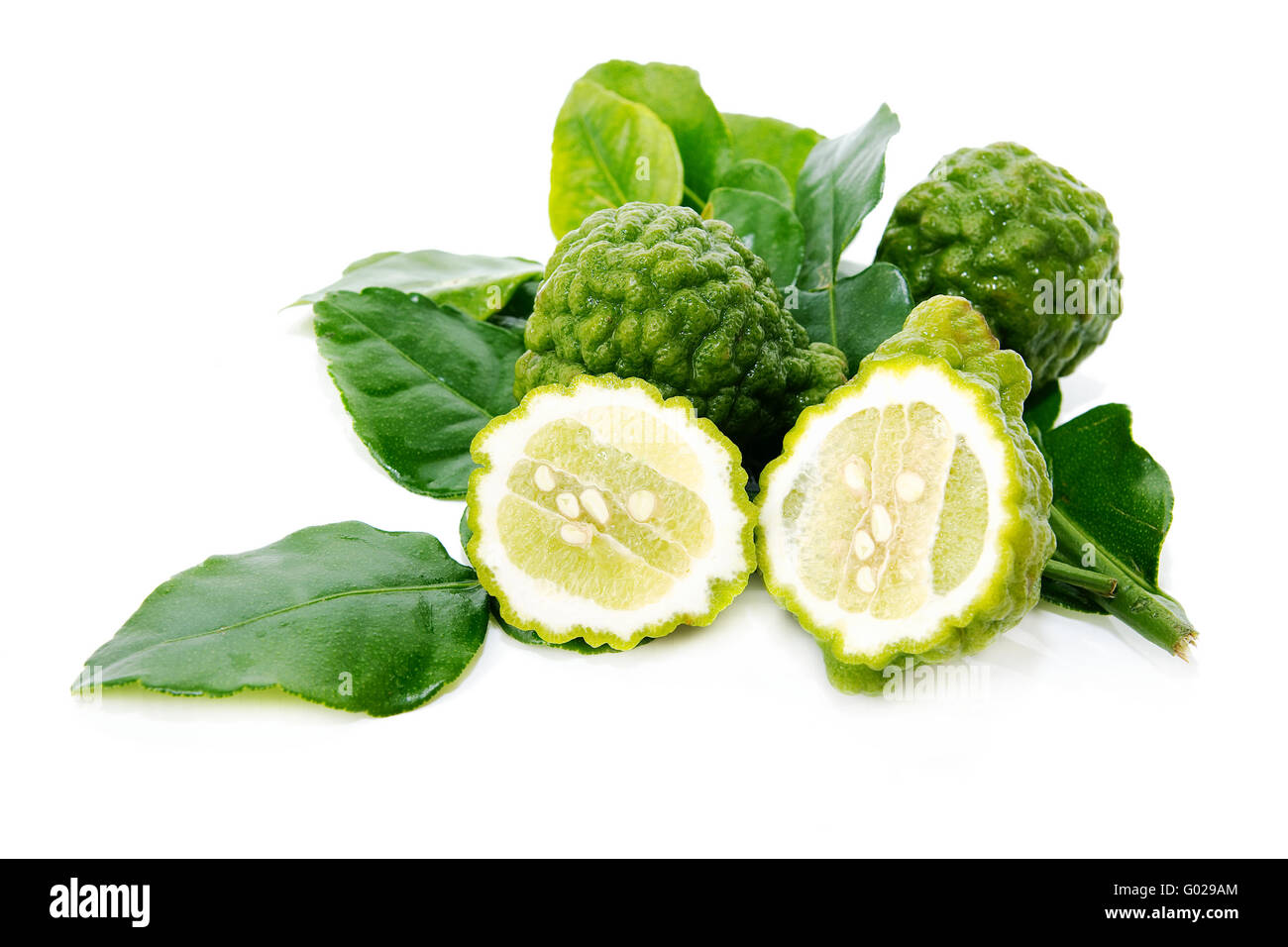 Kafir hi-res stock photography and images - Alamy