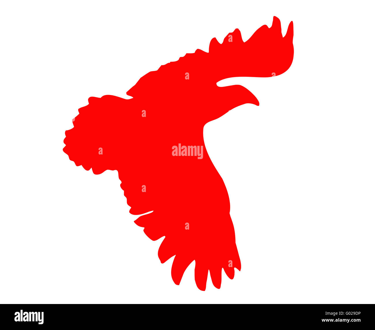 silhouette of the ravenous bird on white background Stock Photo - Alamy