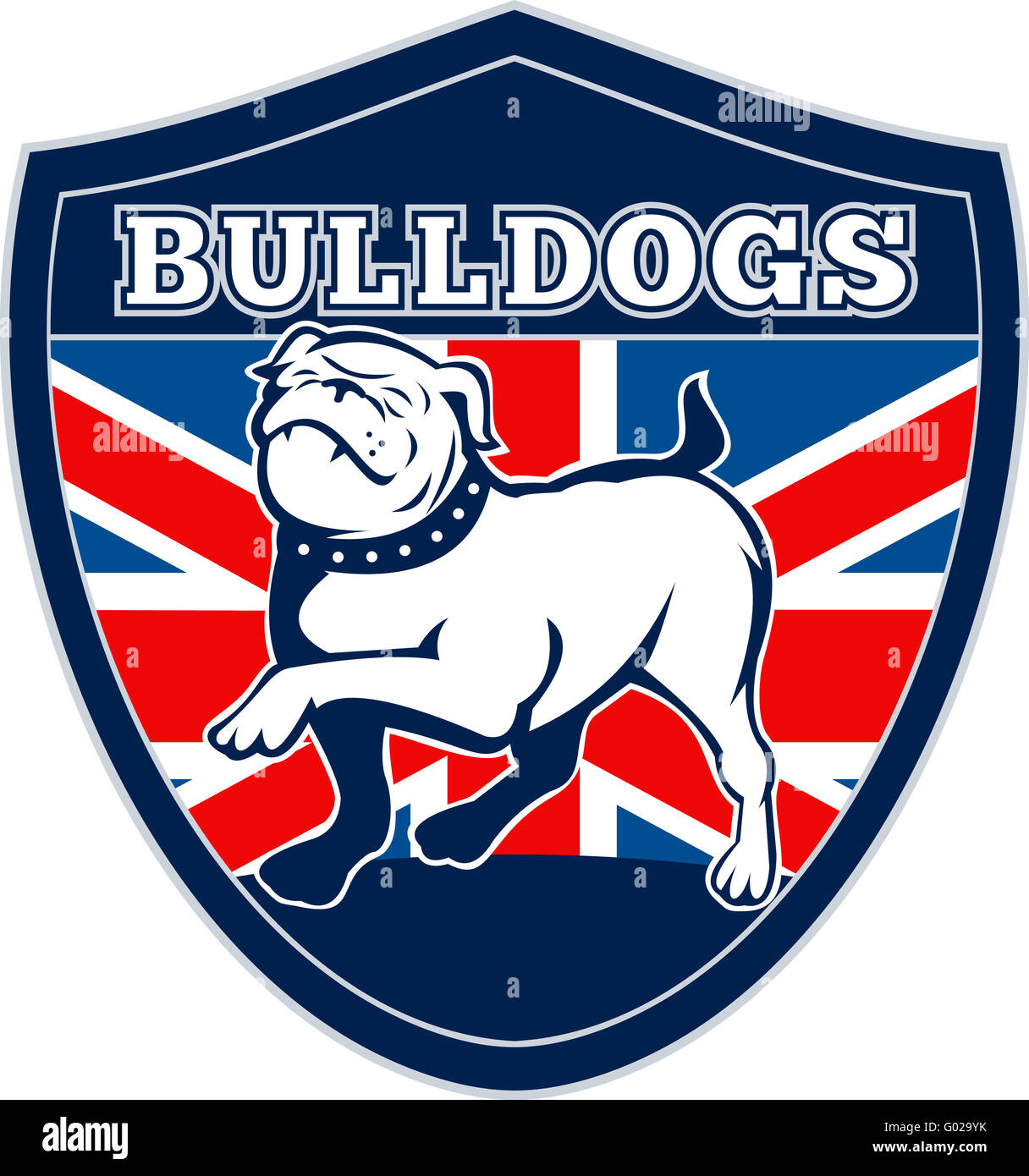 English bulldog british rugby sports team mascot Stock Photo - Alamy
