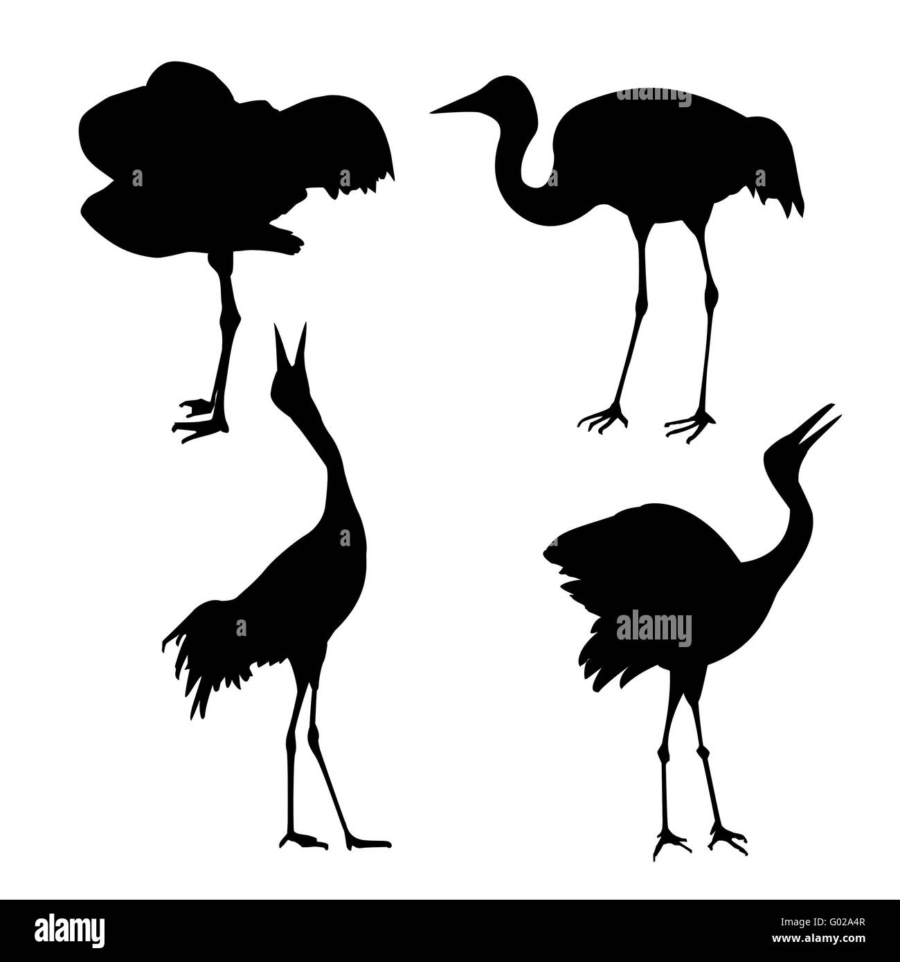 vector silhouette of the cranes on white background Stock Photo - Alamy