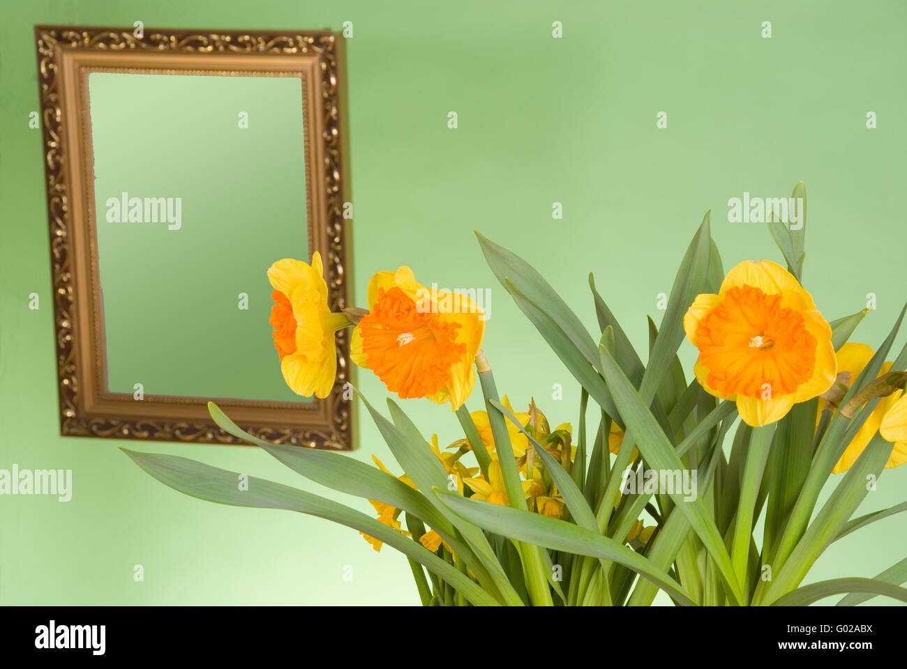 Spring herald hi-res stock photography and images - Alamy