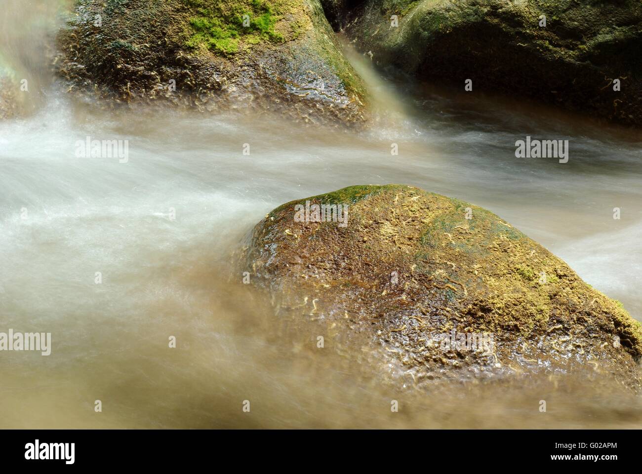 Fast running woodland stream hi-res stock photography and images - Alamy