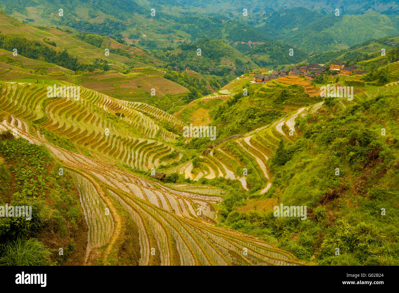 Flooded Rice Terrace Valley Traditional Village Stock Photo - Alamy