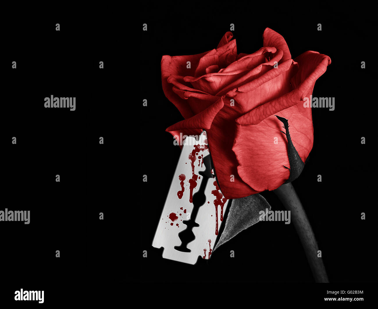 Bleeding Rose In Hand