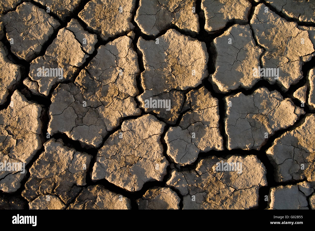 The soil in the fissures appeared on the long-term heat Stock Photo - Alamy