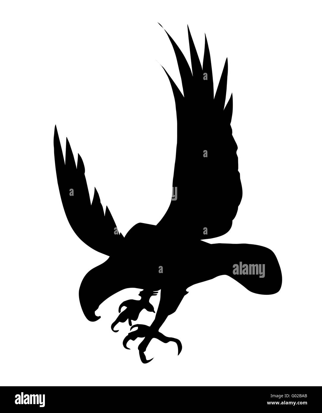 vector silhouette of the ravenous bird on white background Stock Photo ...