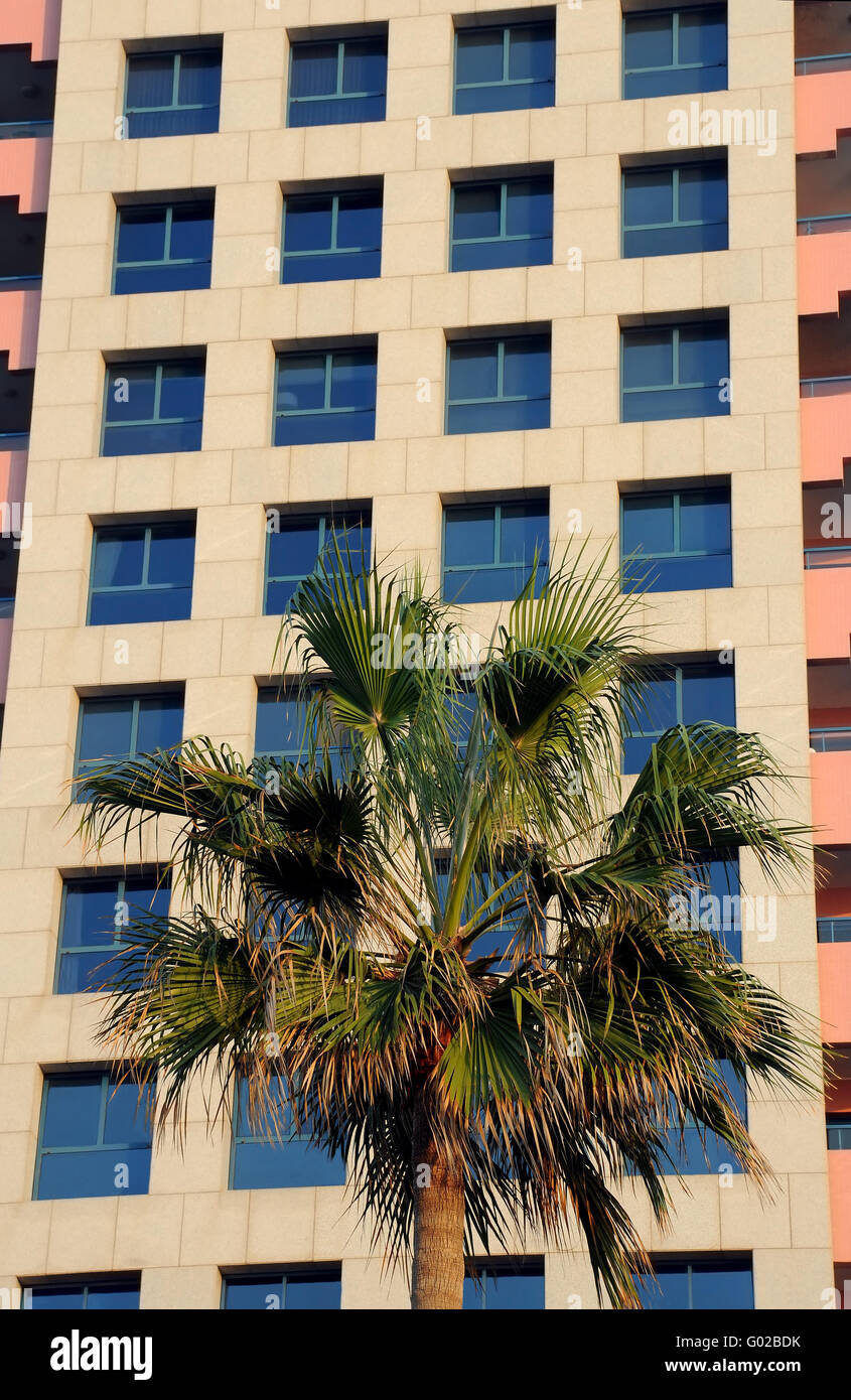 Palm Tree and Modern Building Stock Photo - Alamy
