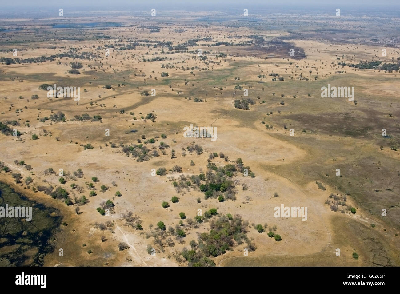 Savanne river hi-res stock photography and images - Alamy