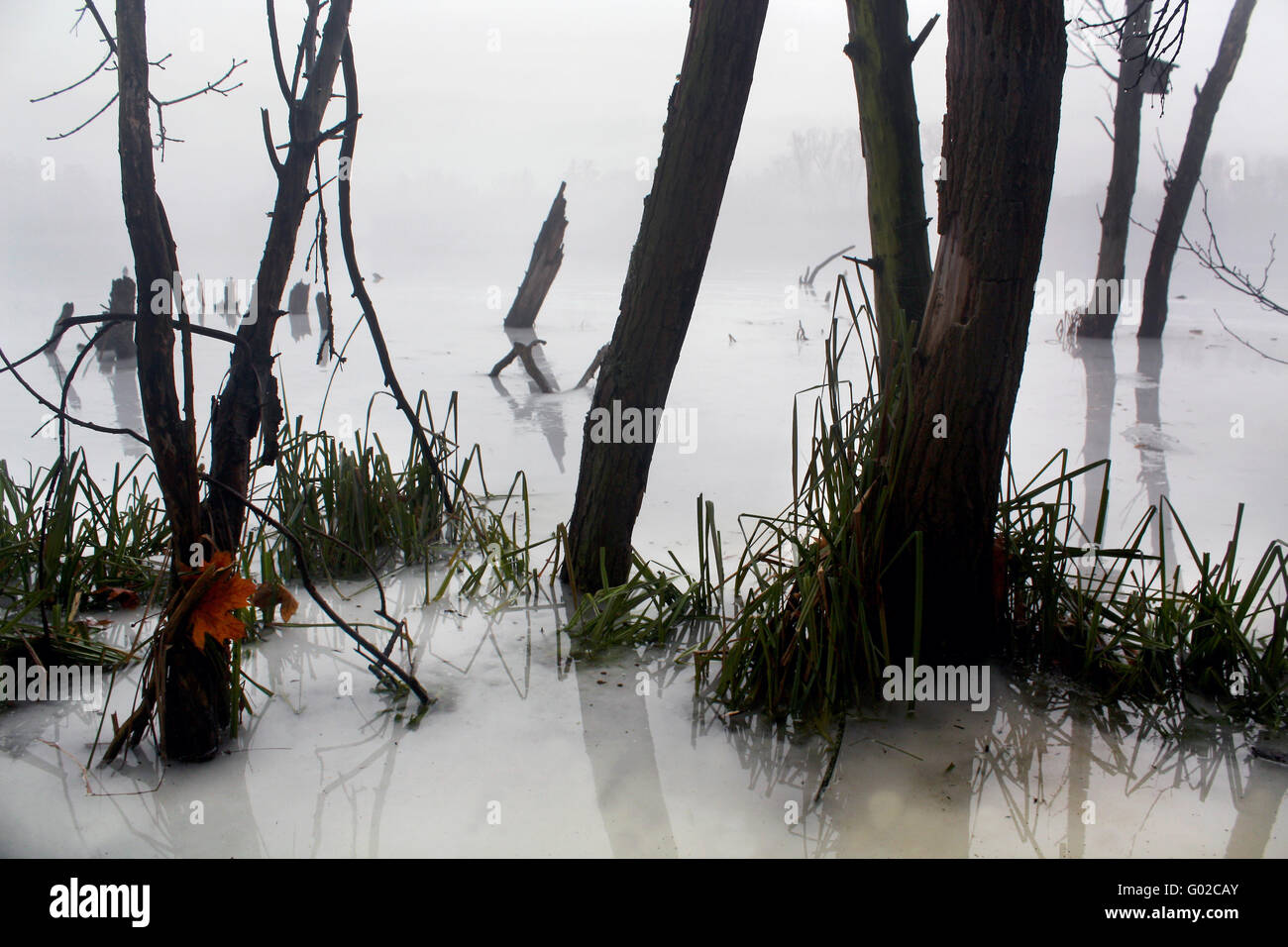 Fog ice hi-res stock photography and images - Alamy