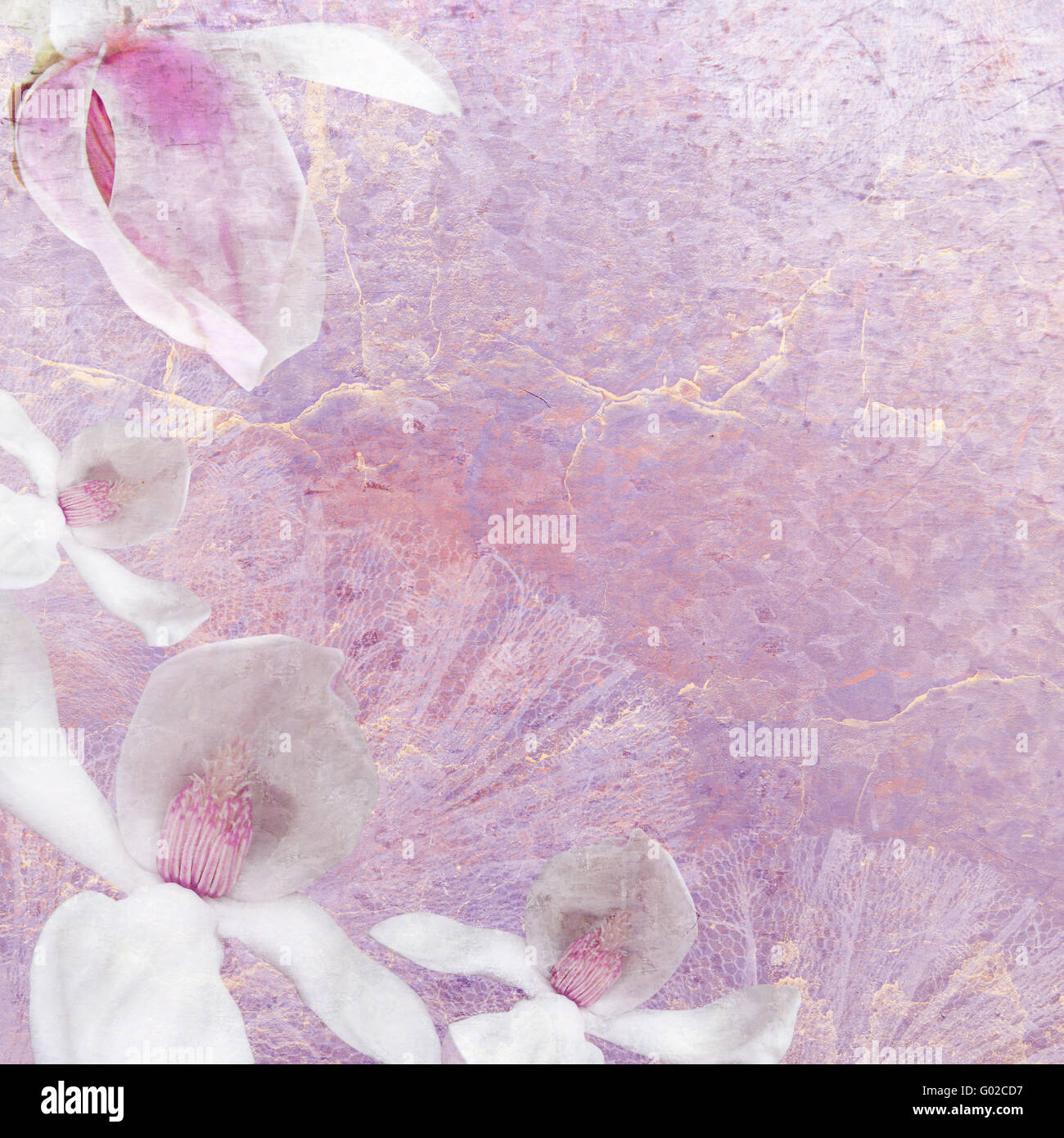 Background for greeting card Stock Photo - Alamy