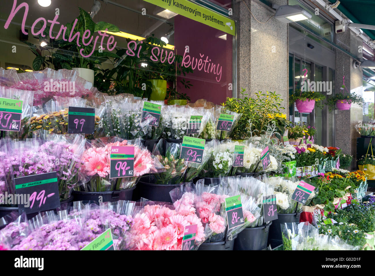 Flower shop window display hi-res stock photography and images - Alamy