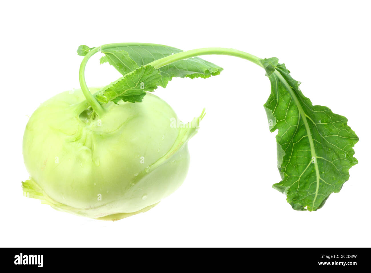Kohlrabi on white Stock Photo - Alamy