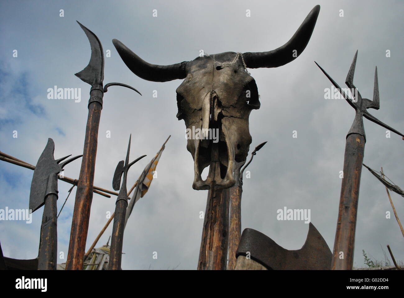 Viking skull hi-res stock photography and images - Alamy