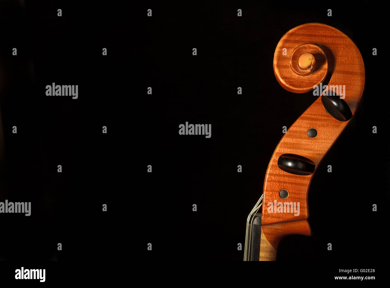 Cello head hi-res stock photography and images - Alamy