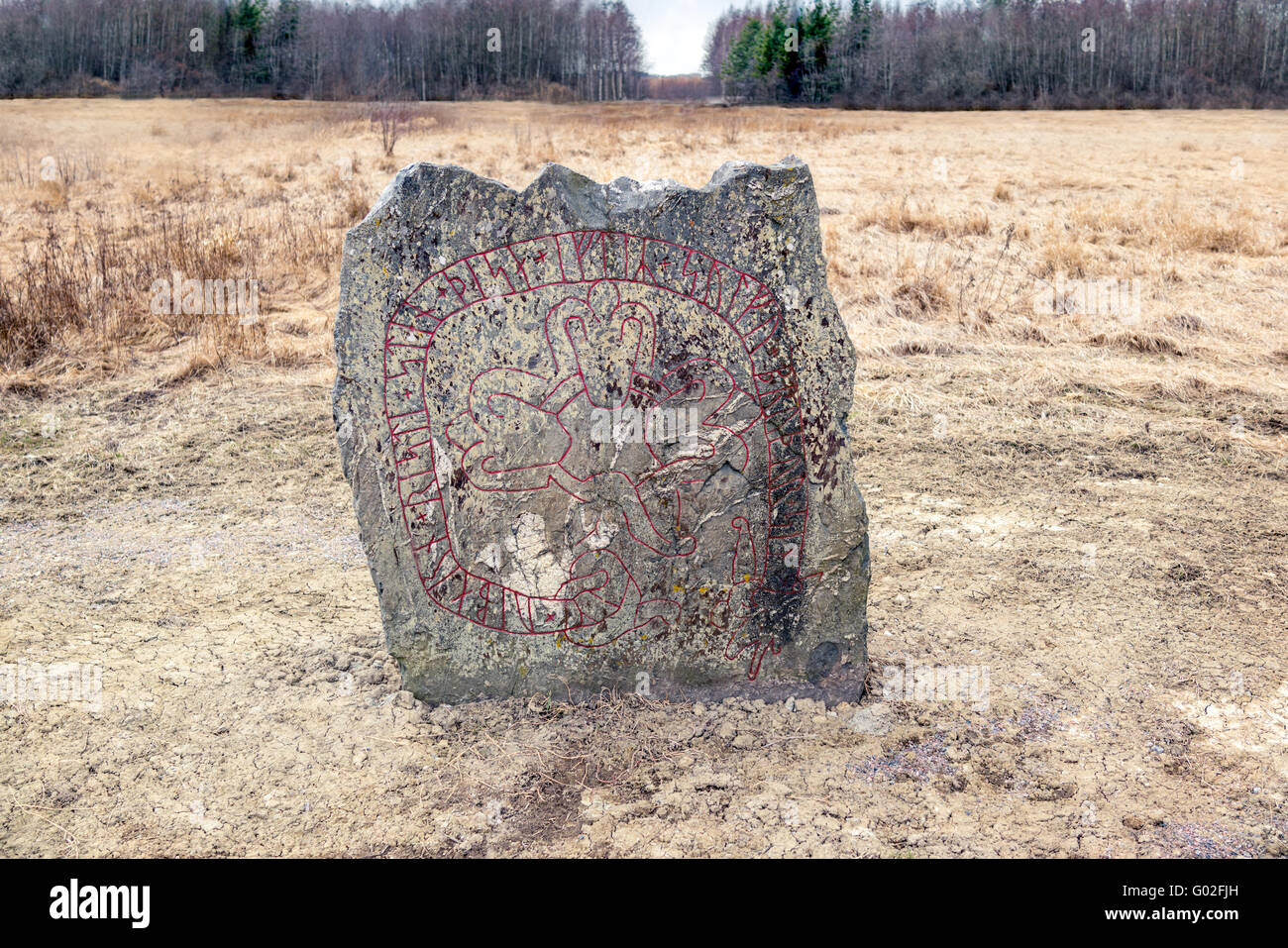 Runestone on a field Stock Photo - Alamy