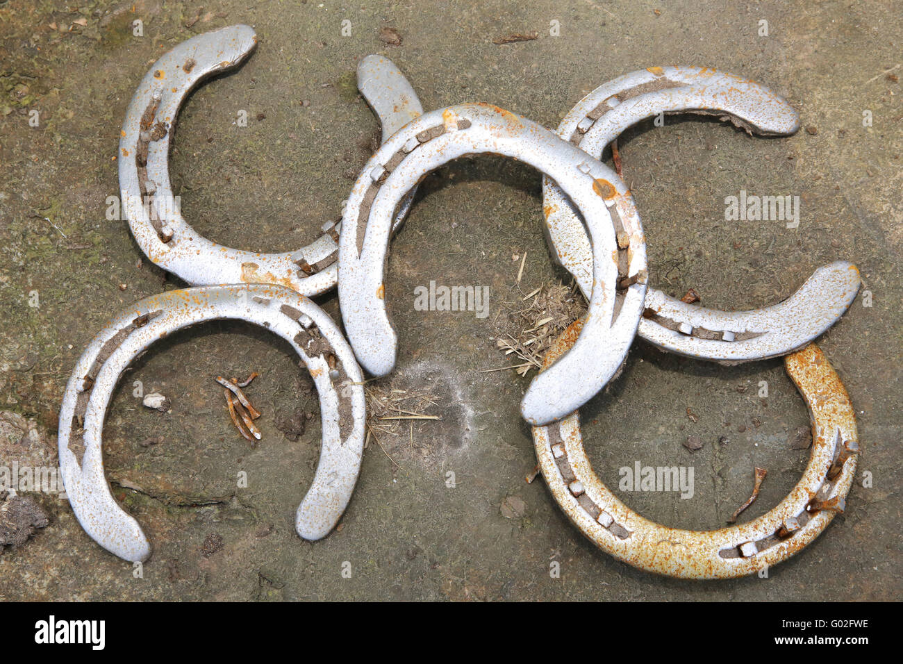 Five old rusty horseshoes as a background at rural horse farm Stock ...