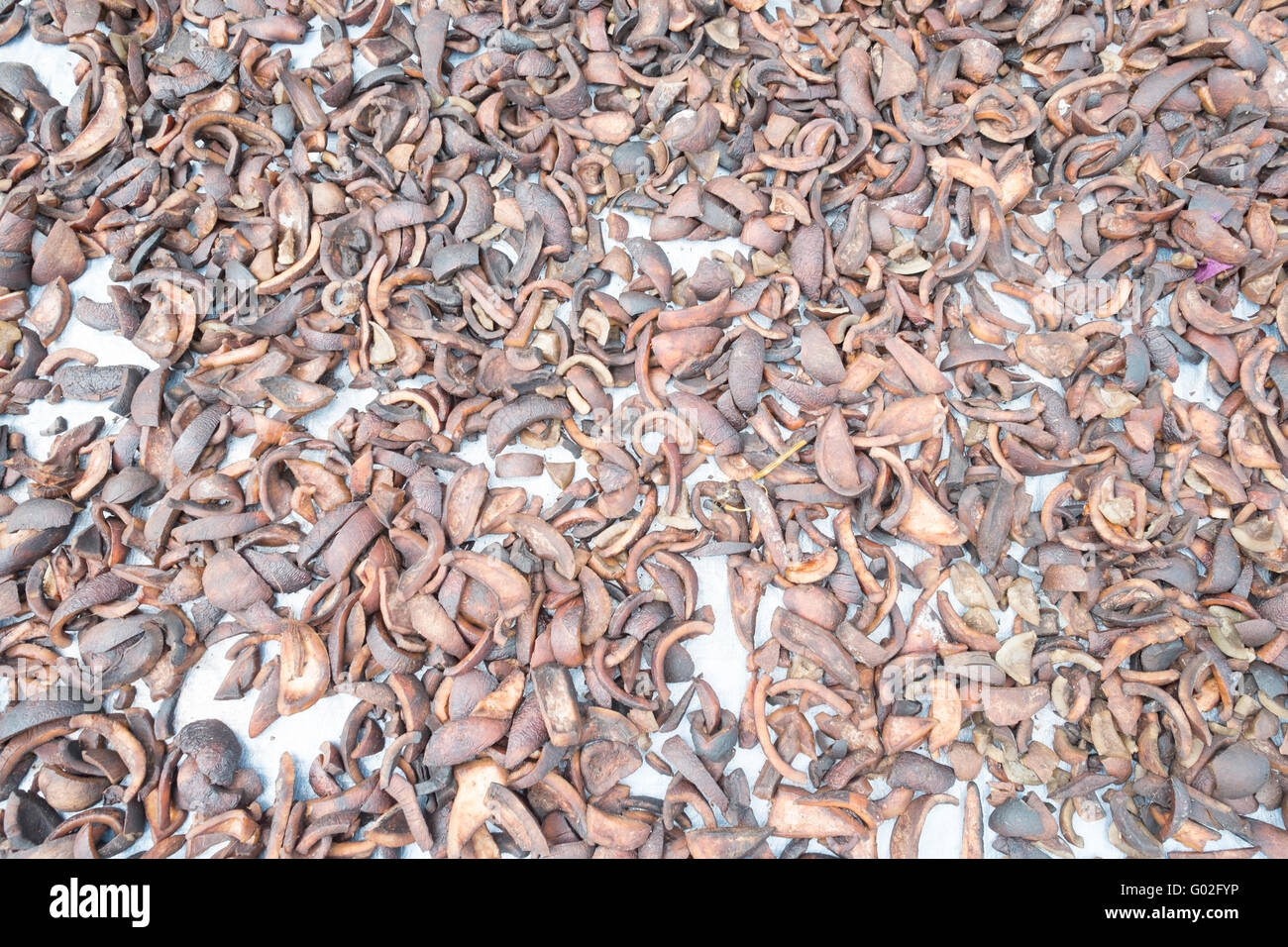 Copra hi-res stock photography and images - Alamy