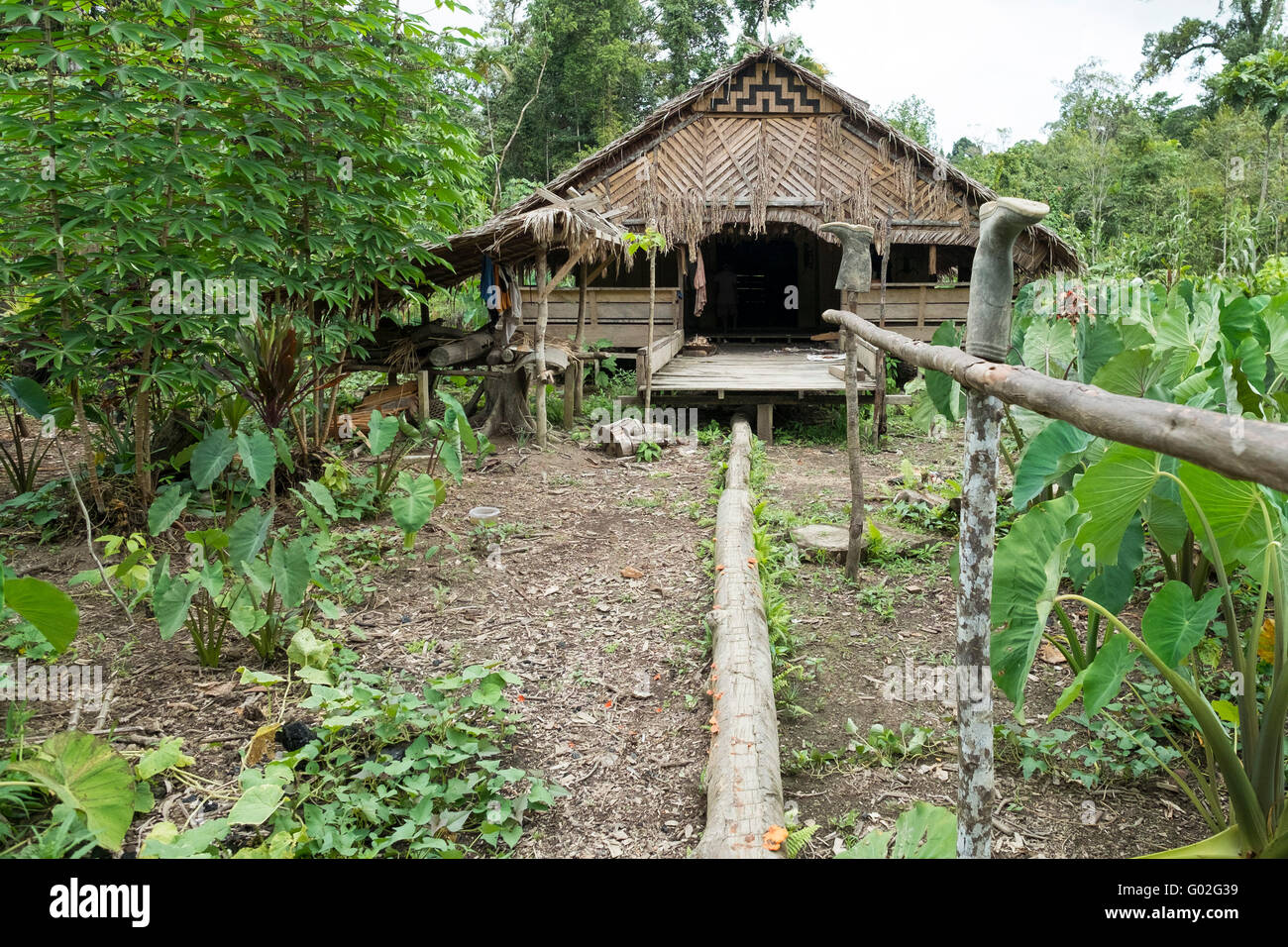 Mentawai tribe house in the deep of the jungle Stock Photo - Alamy