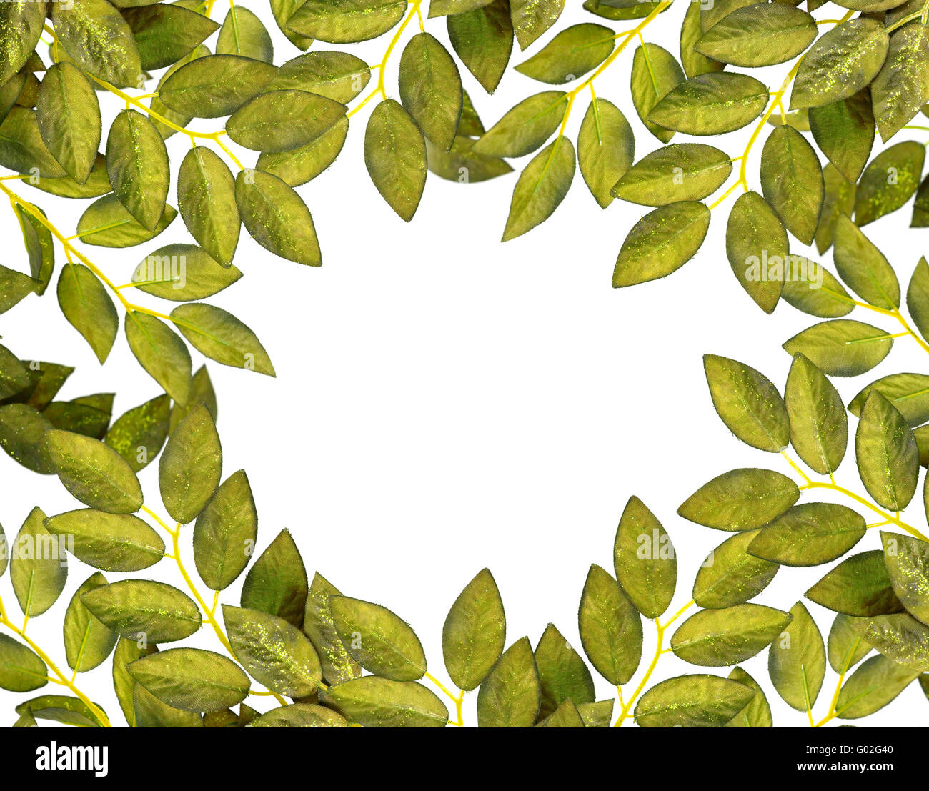 border of leaves isolated on white background Stock Photo - Alamy