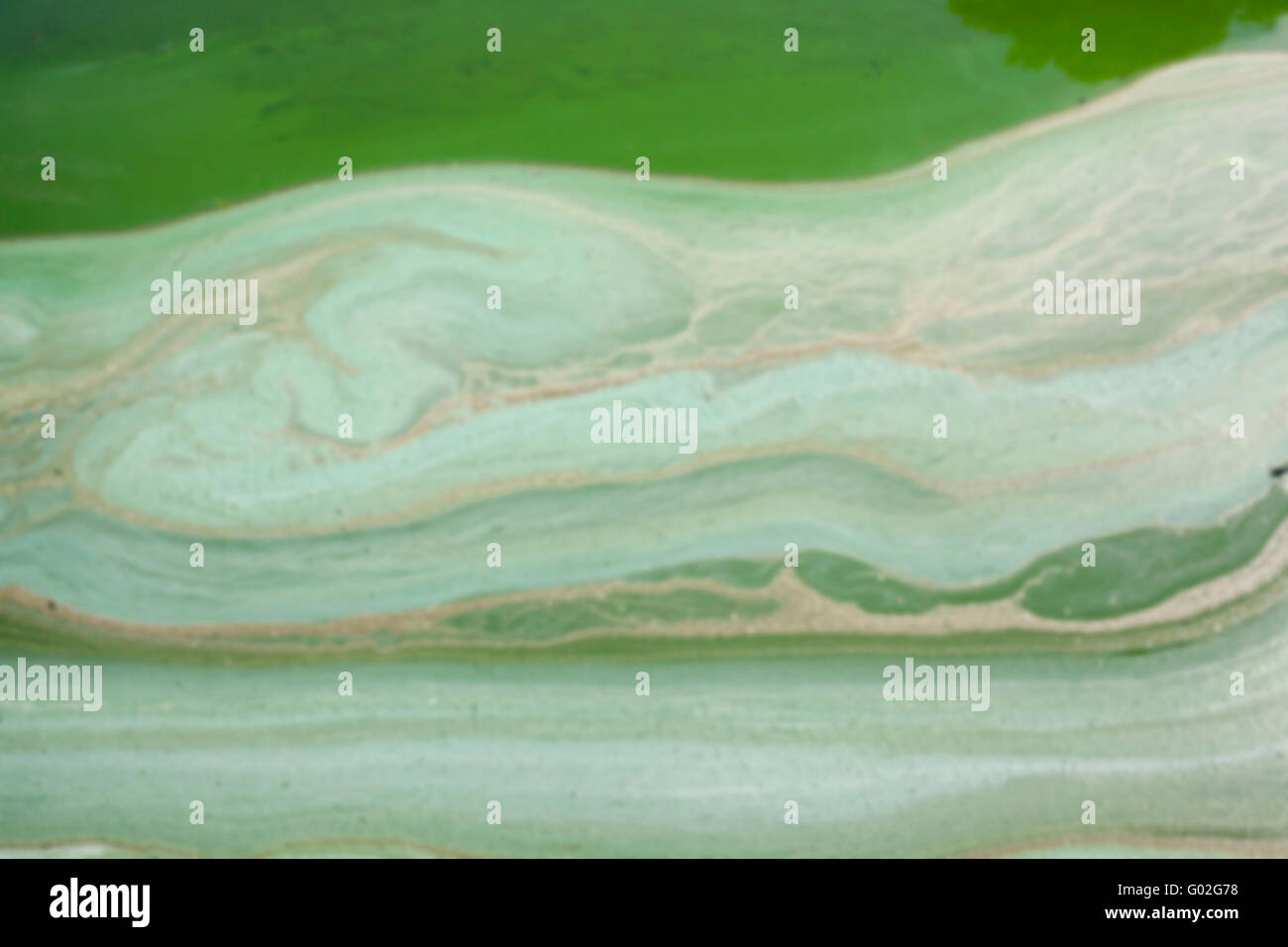 Water in the swamp Stock Photo - Alamy