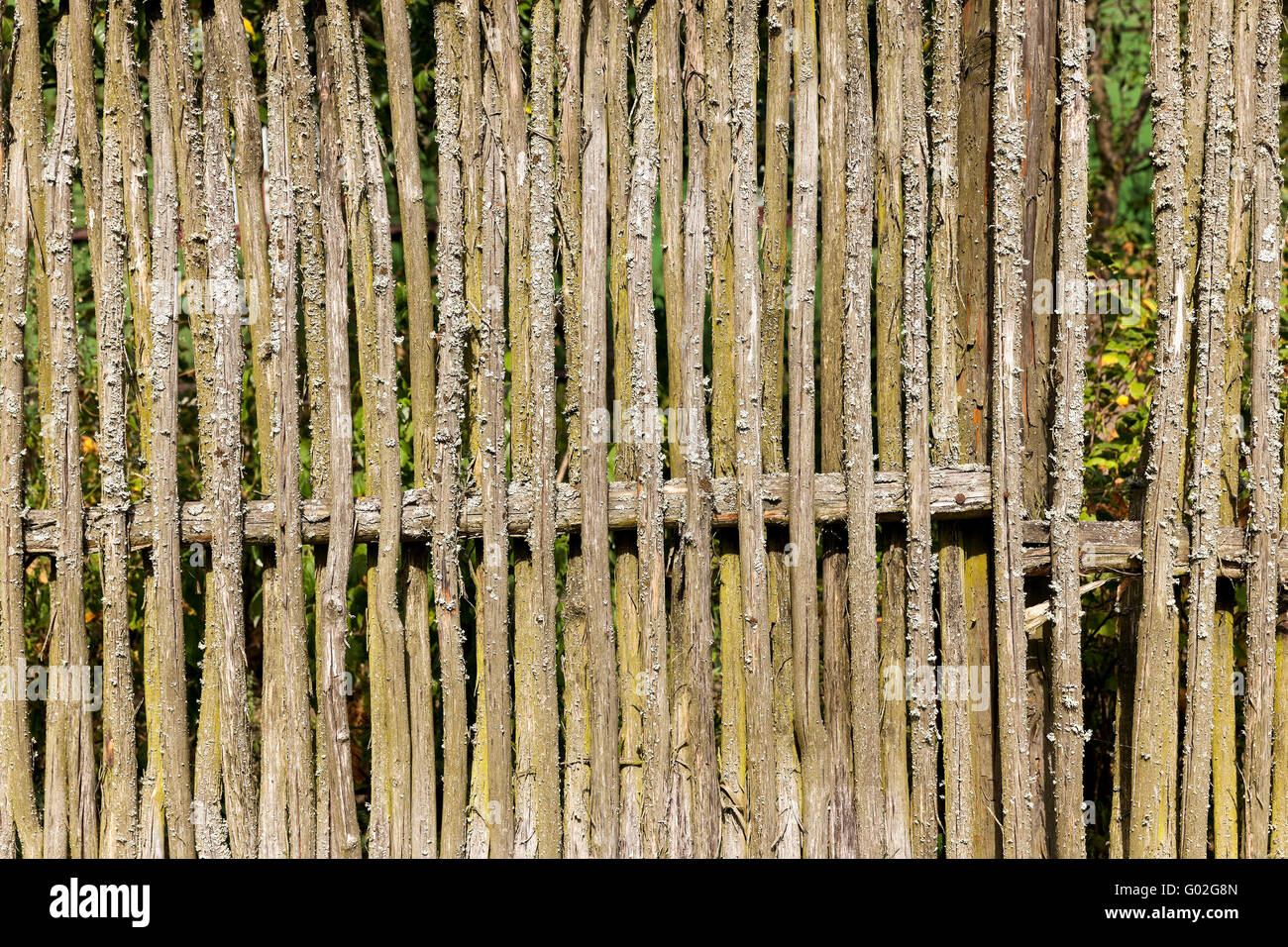 Wood twig hi-res stock photography and images - Alamy