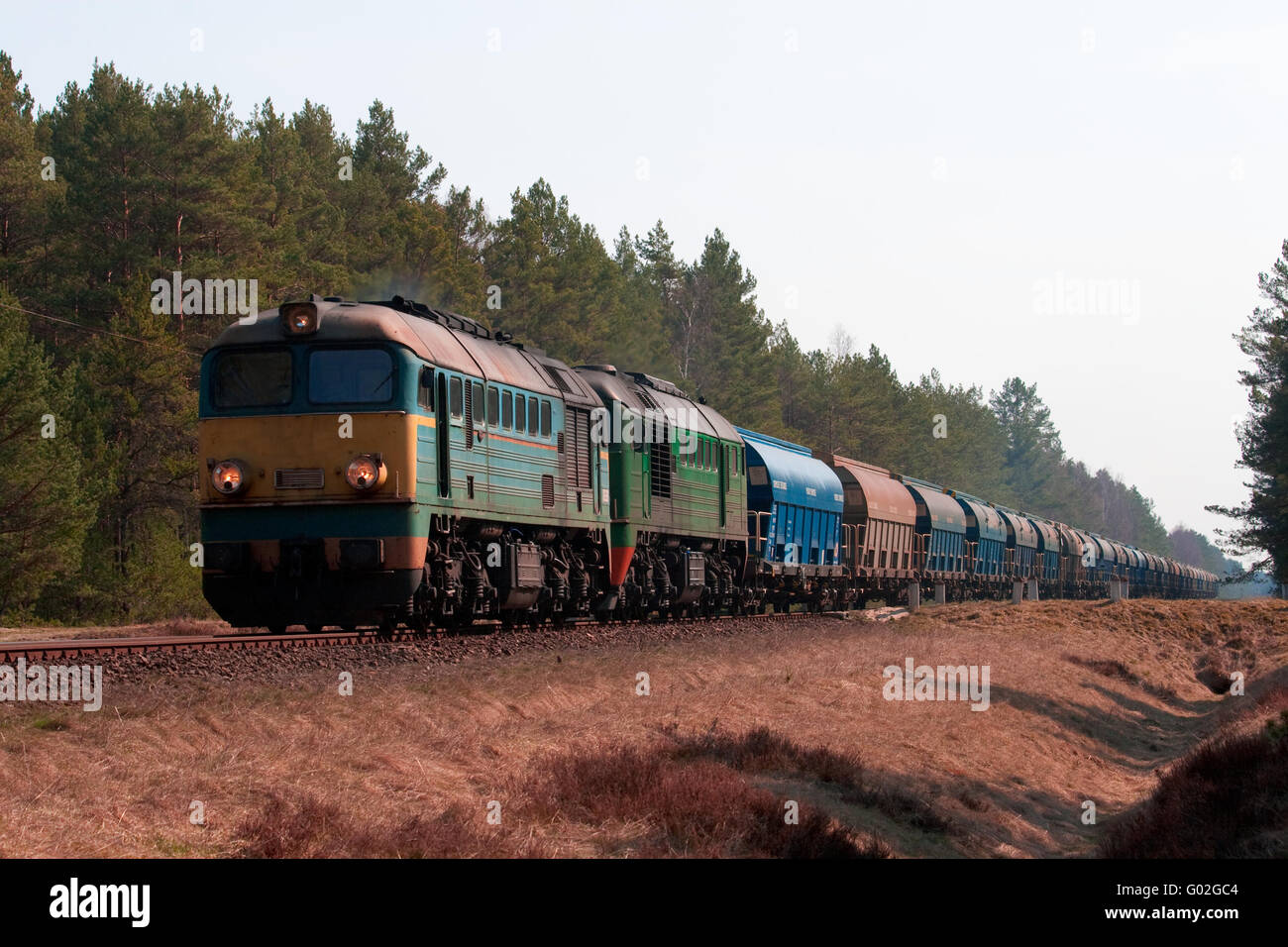 Freight train hauled by two diesel locomotives passing the forest Stock ...