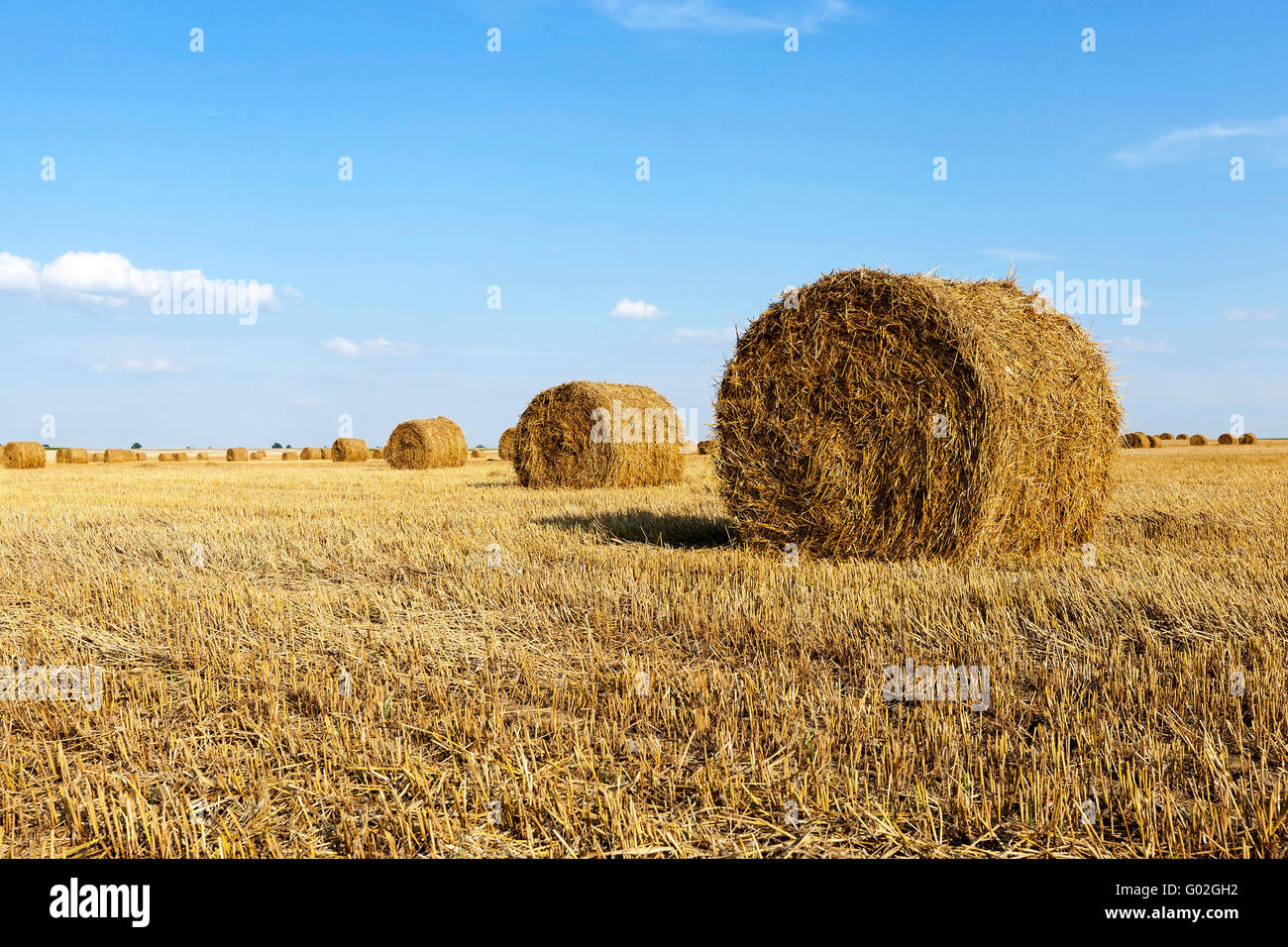 Stack of straw Stock Photo - Alamy