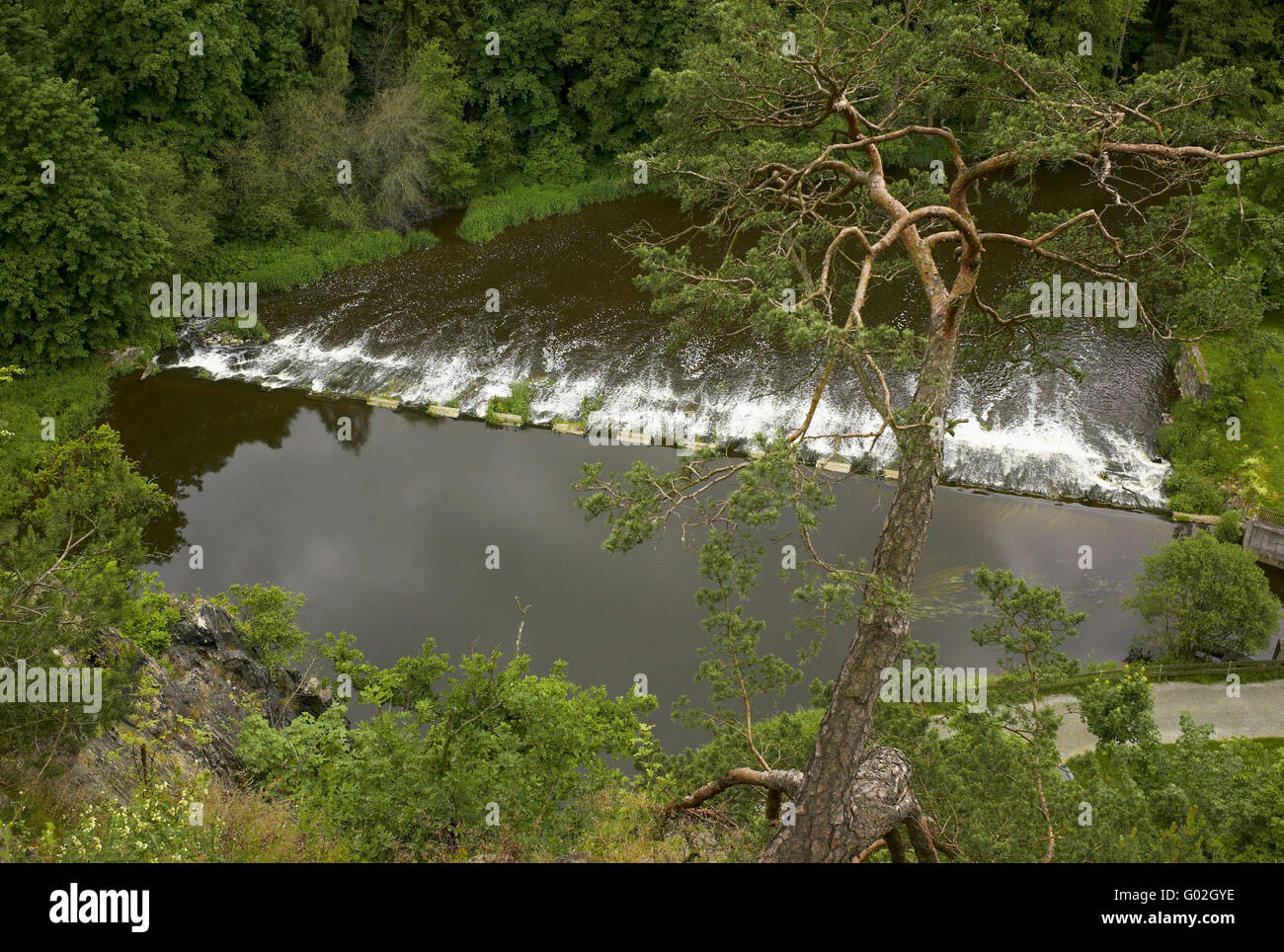 Hirschberg town forest hi-res stock photography and images - Alamy