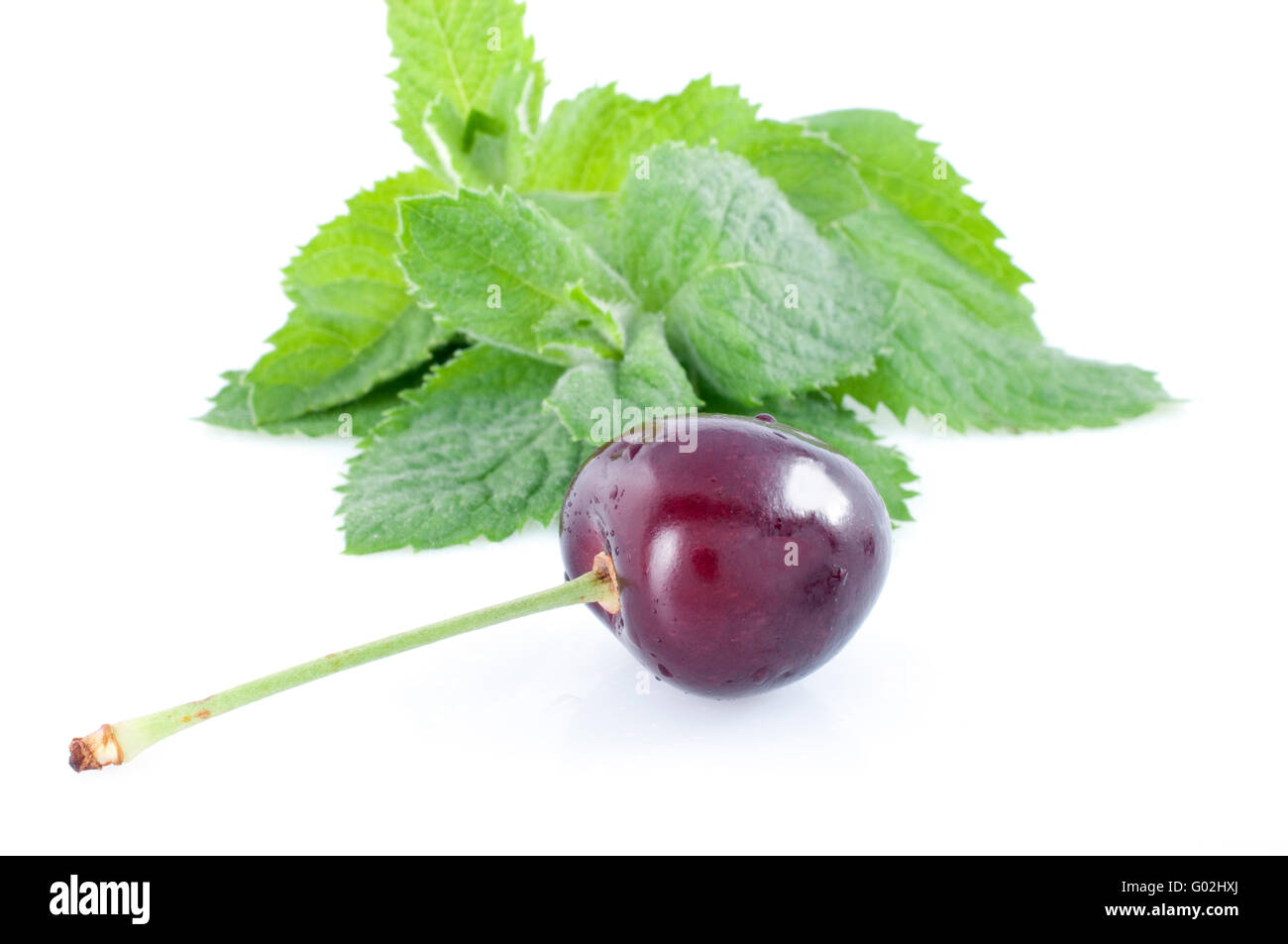 Fresh green mint and cherry on white background Stock Photo - Alamy