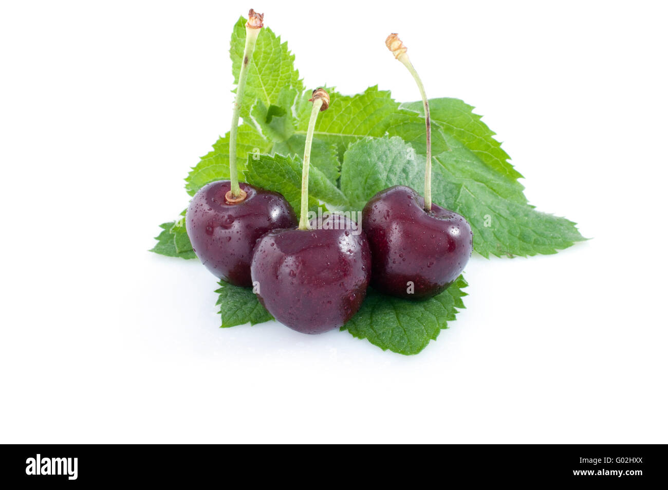 Cherry tree bark Cut Out Stock Images & Pictures - Alamy