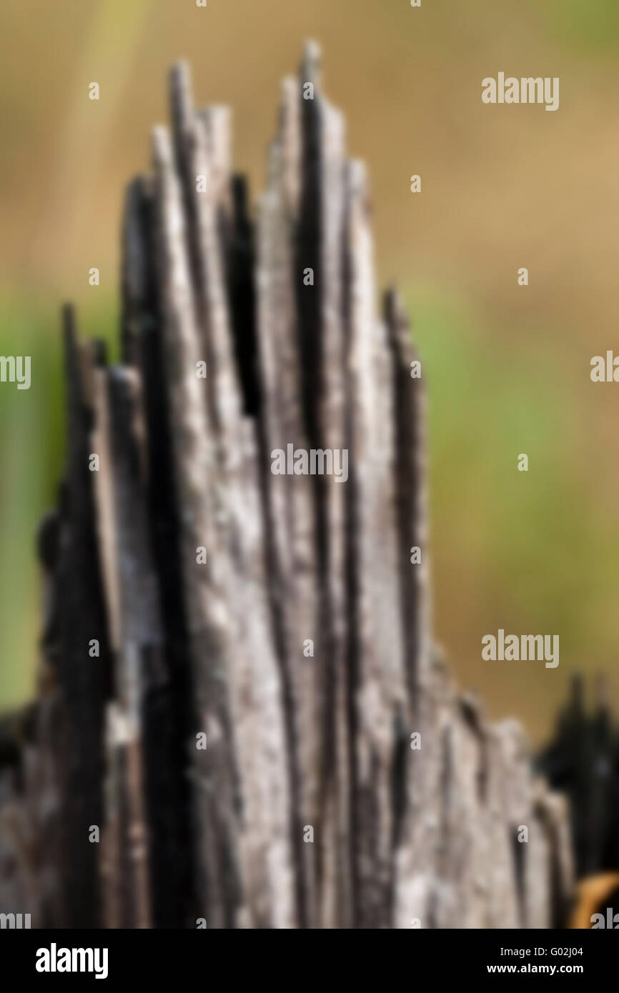 old wood fracture Stock Photo - Alamy