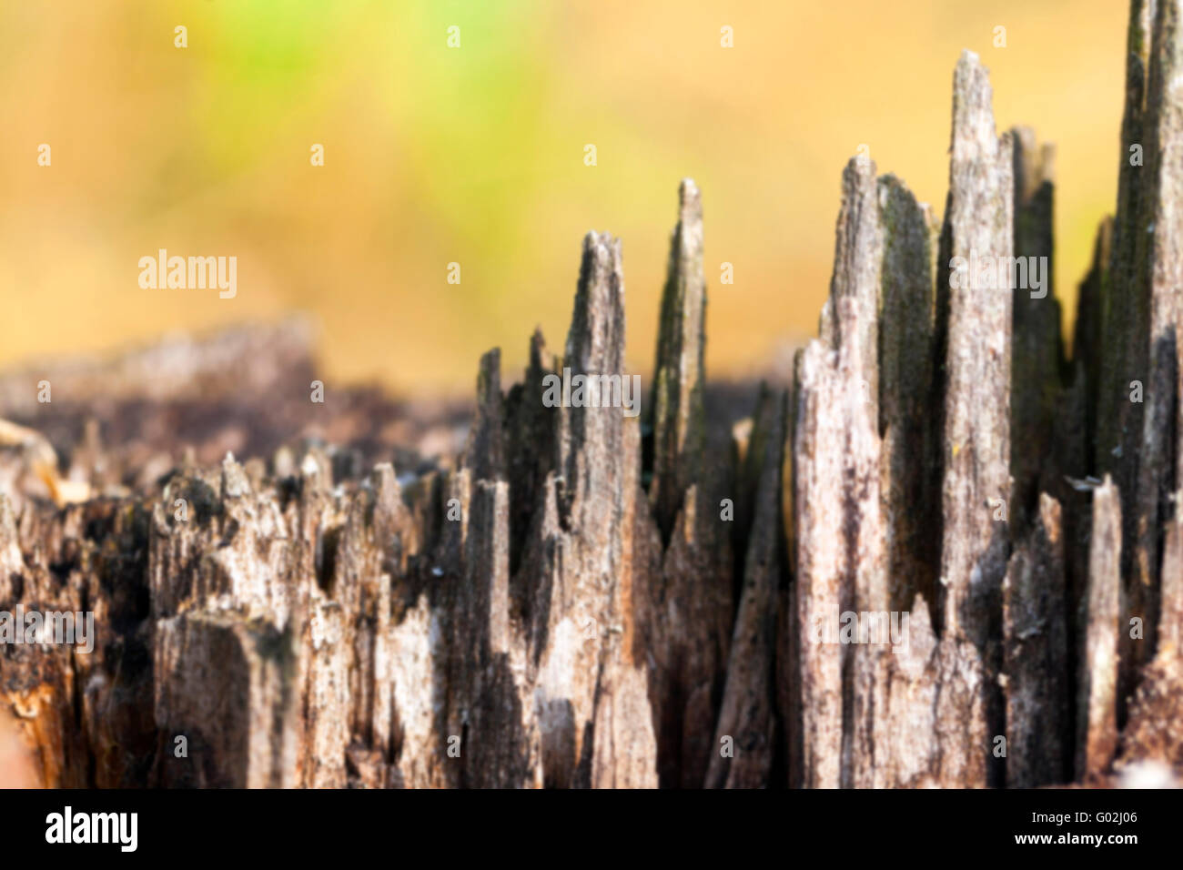 Old fracture hi-res stock photography and images - Alamy