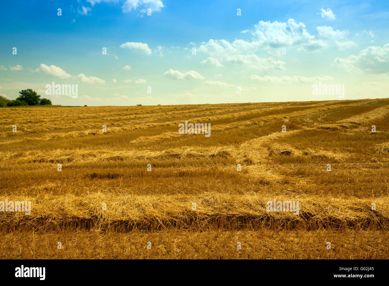Swaths of land hi-res stock photography and images - Alamy