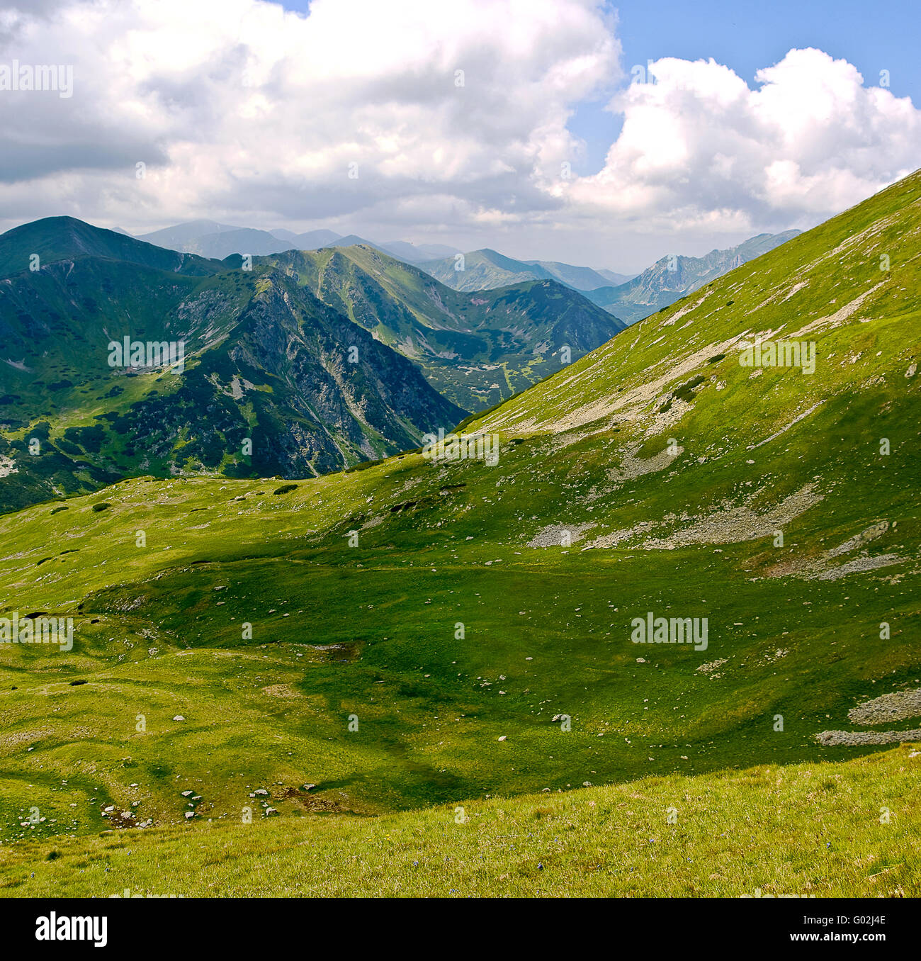 Alpine woodland hi-res stock photography and images - Alamy