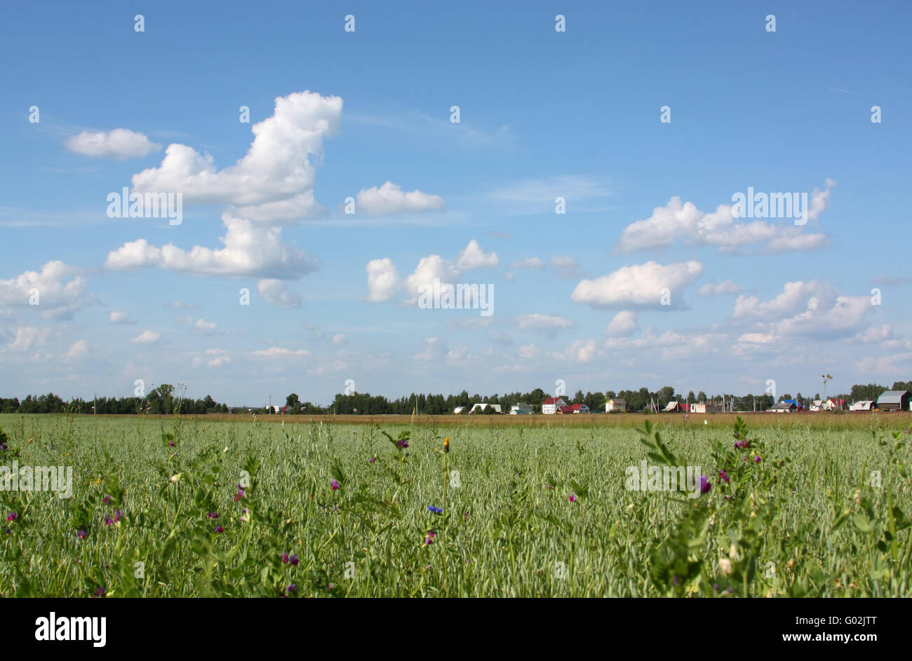 Tranquil horizons hi-res stock photography and images - Alamy
