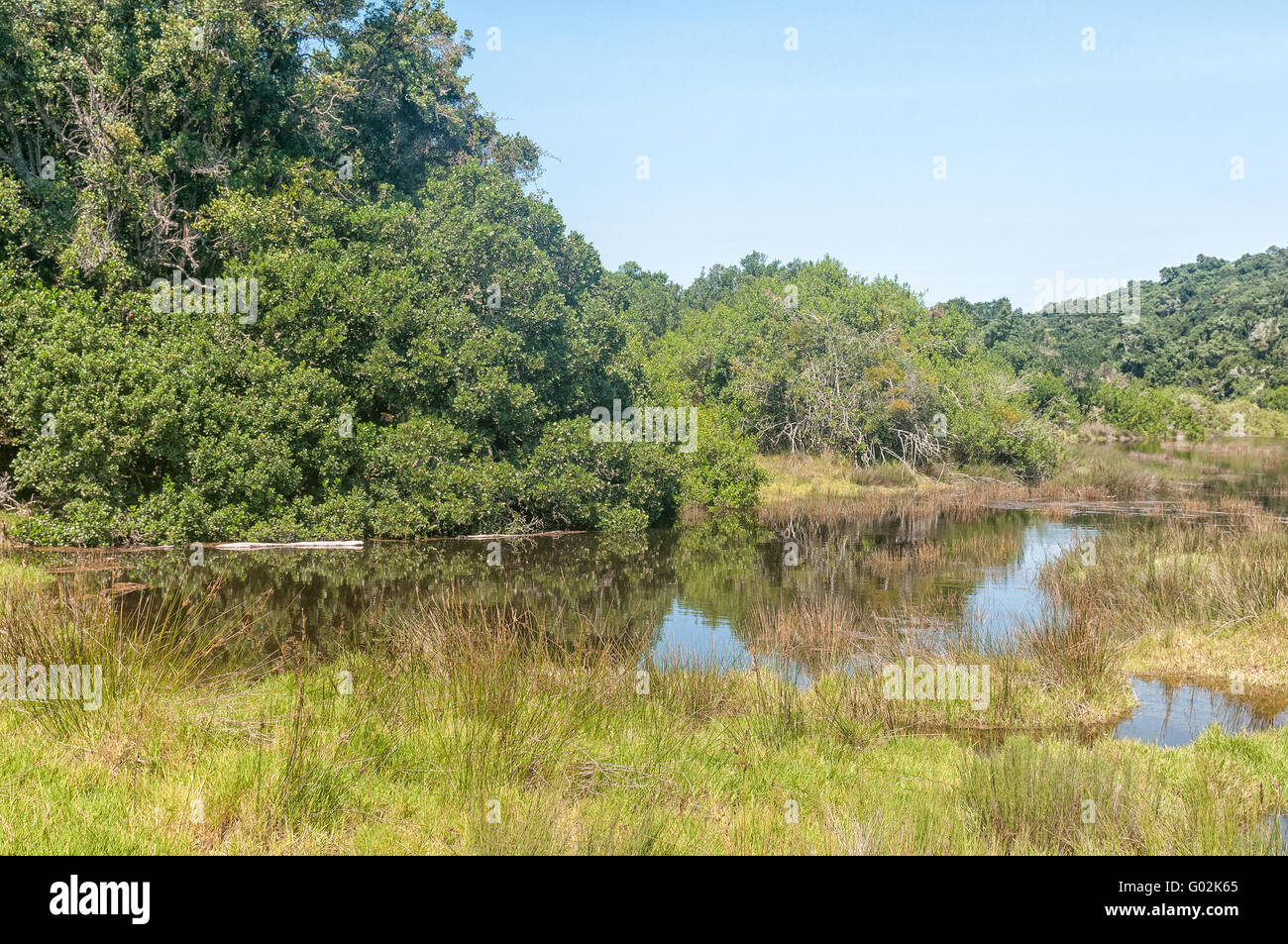The mouth groot river hi-res stock photography and images - Alamy