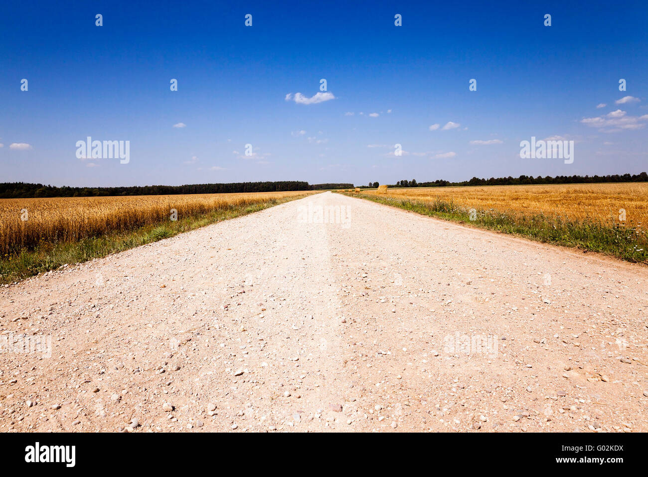 rural road , spring Stock Photo - Alamy
