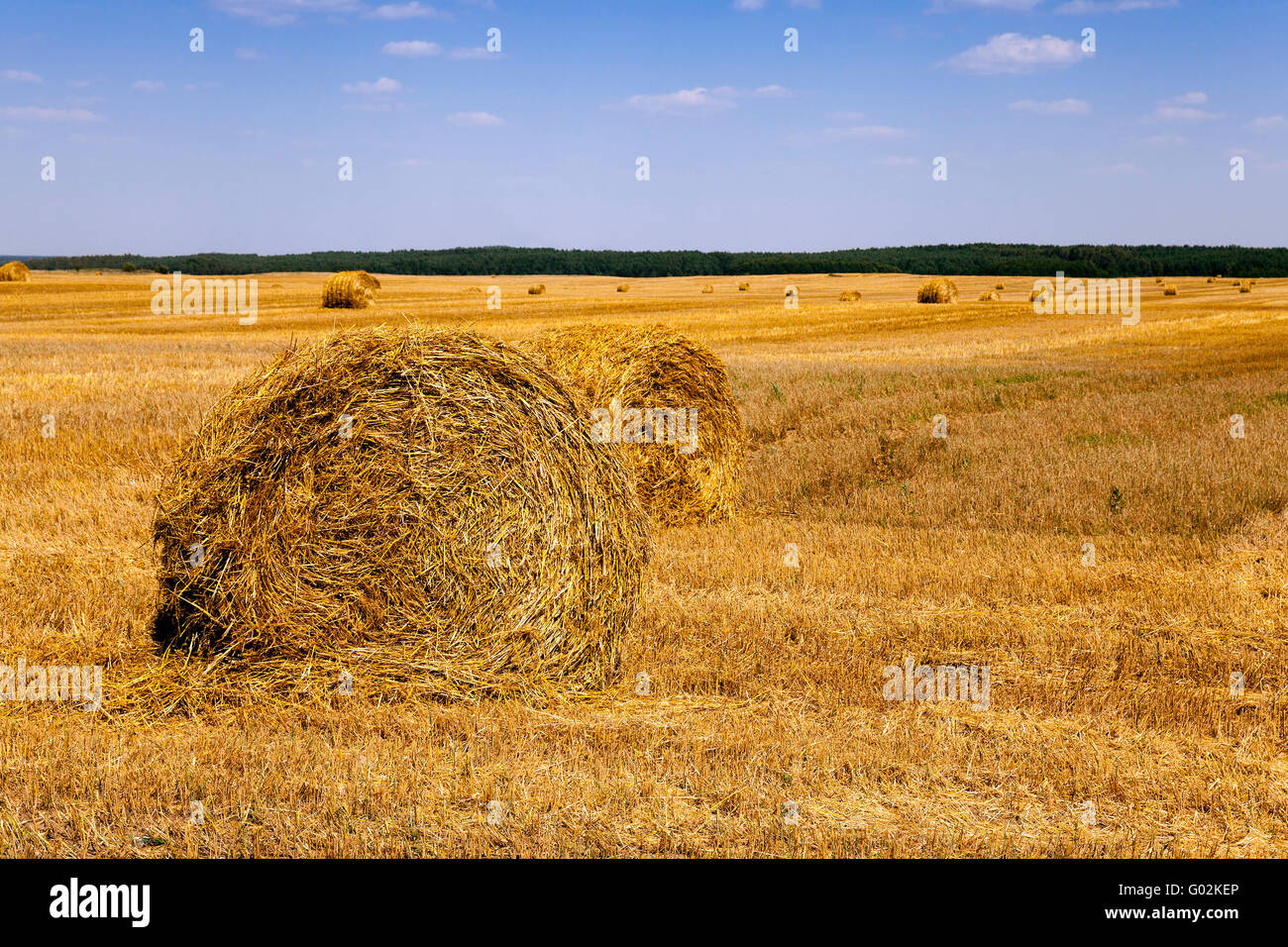 haystacks straw lying Stock Photo - Alamy