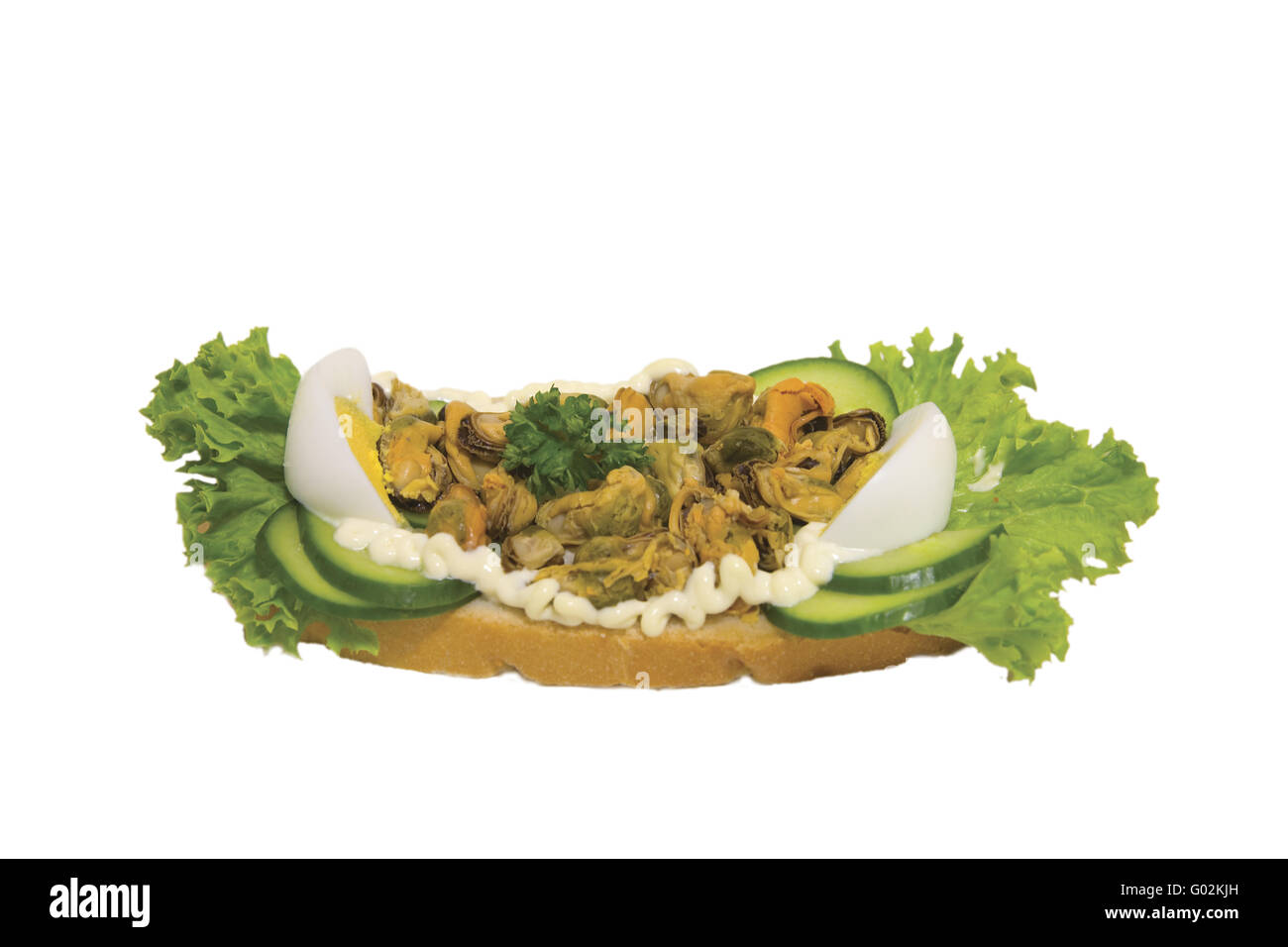 bred with shells Stock Photo - Alamy