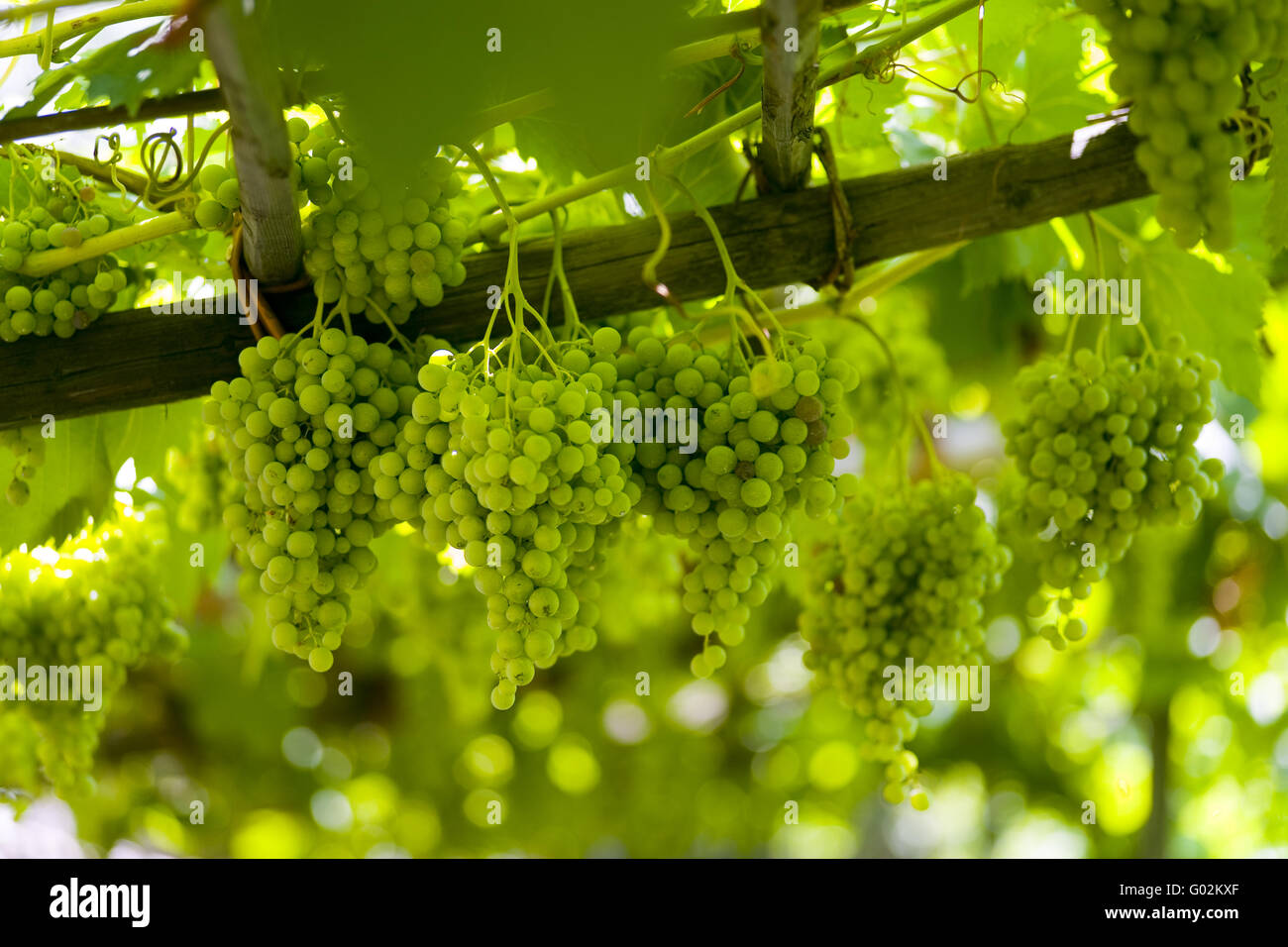 Struktur symbole hi-res stock photography and images - Alamy