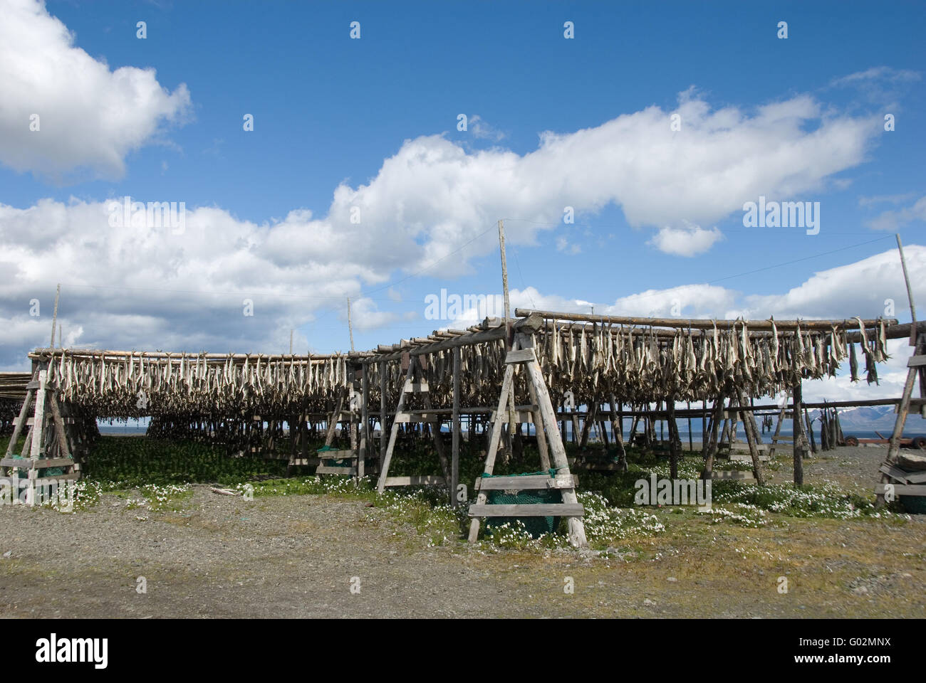 Cod island hi-res stock photography and images - Alamy